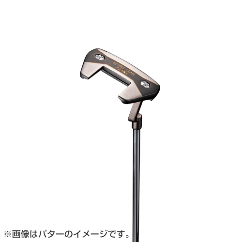 本間ゴルフ ゴルフ HONMA ROYAL STAR ゴルフクラブセット 10.5S HONMA RS 10.5 S バッグ・ボールセット ...
